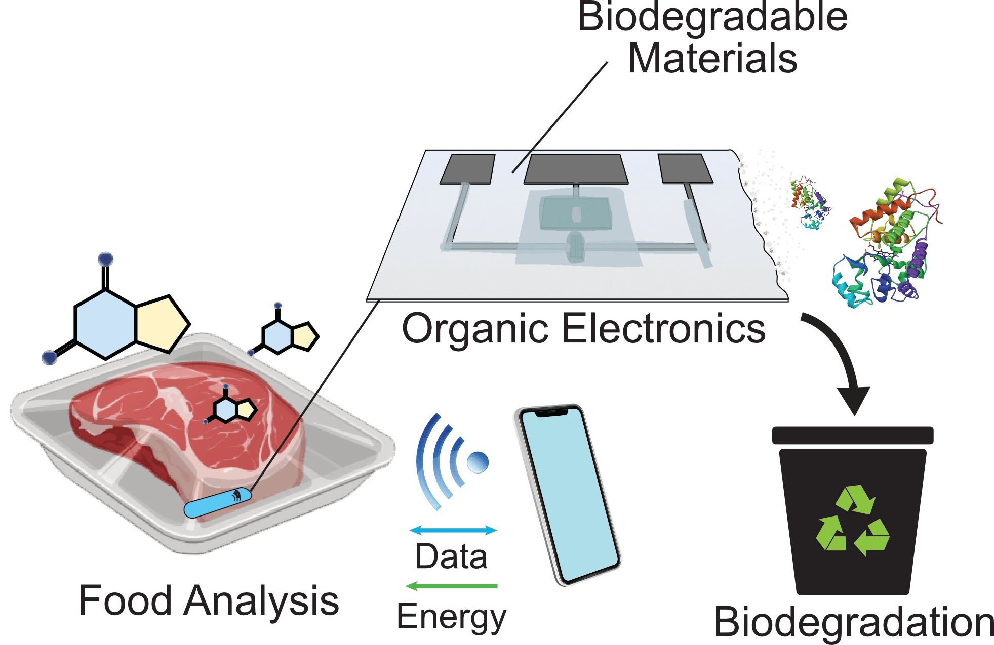Applications – Zeglio Lab